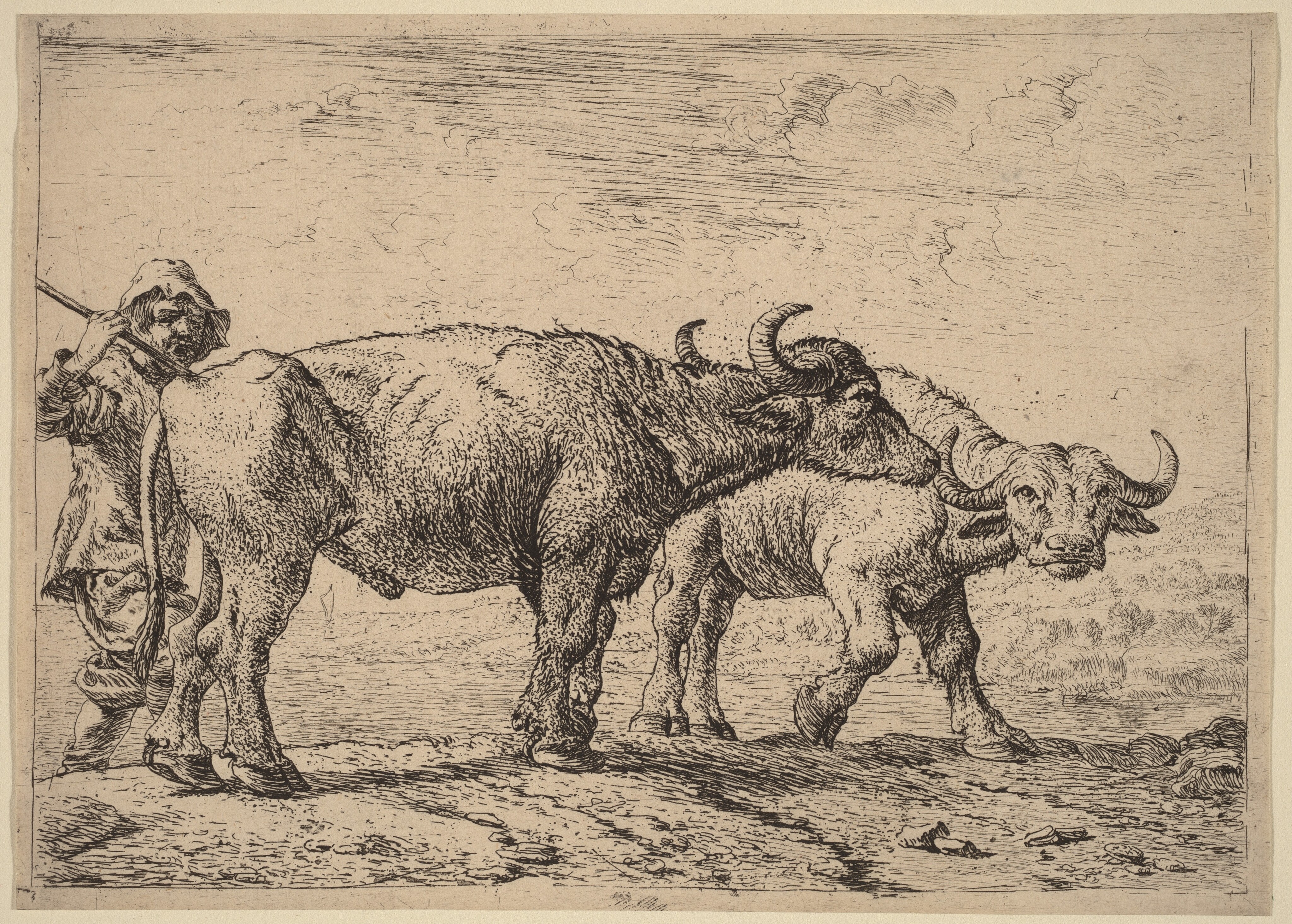Two Buffaloes and a Herdsman by Pieter van Laer