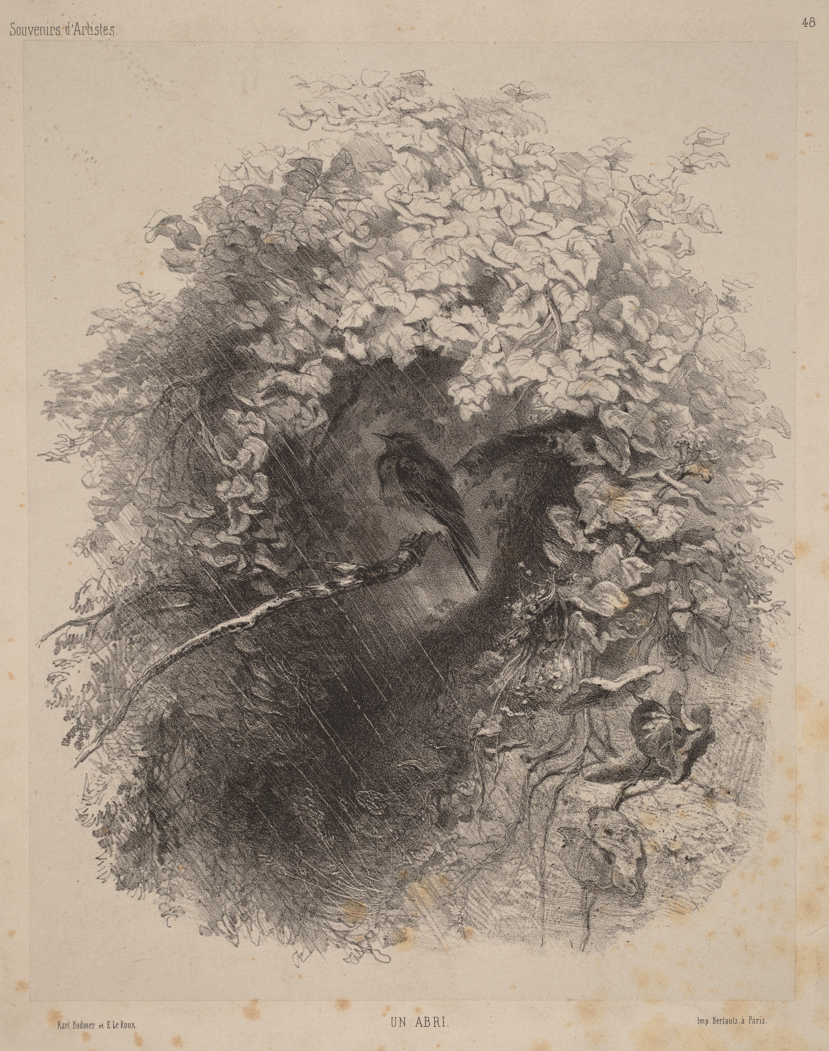 Karl Bodmer | National Gallery of Art