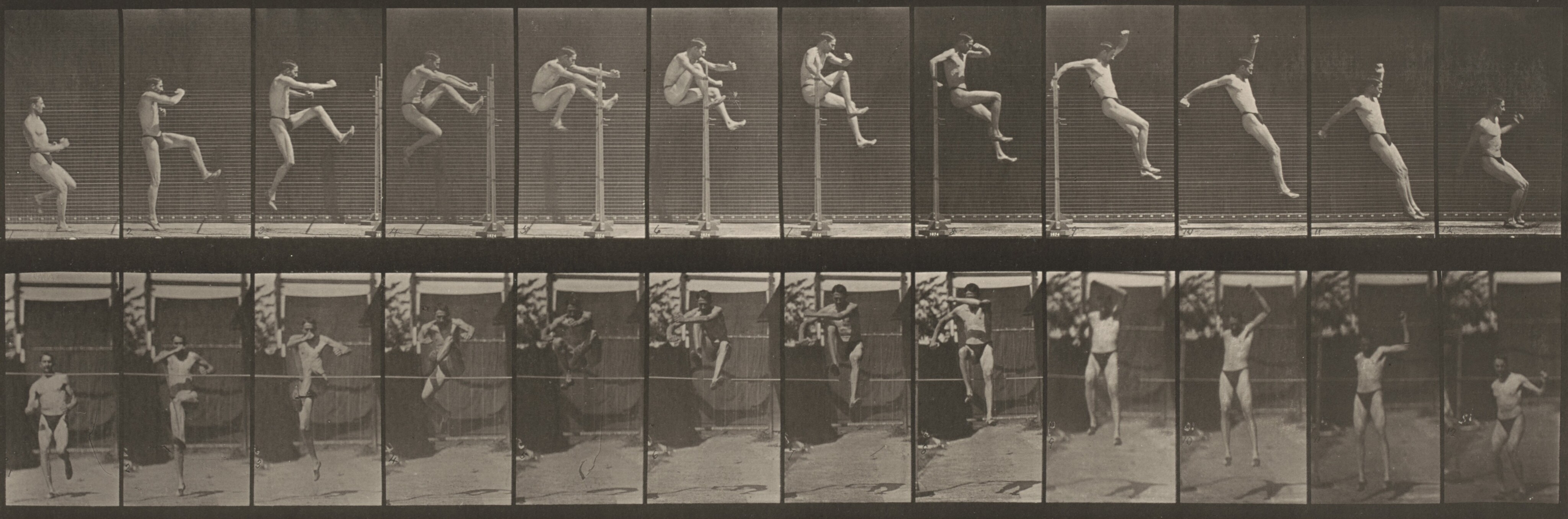 Plate Number 152. Jumping, running straight high jump by Eadweard Muybridge