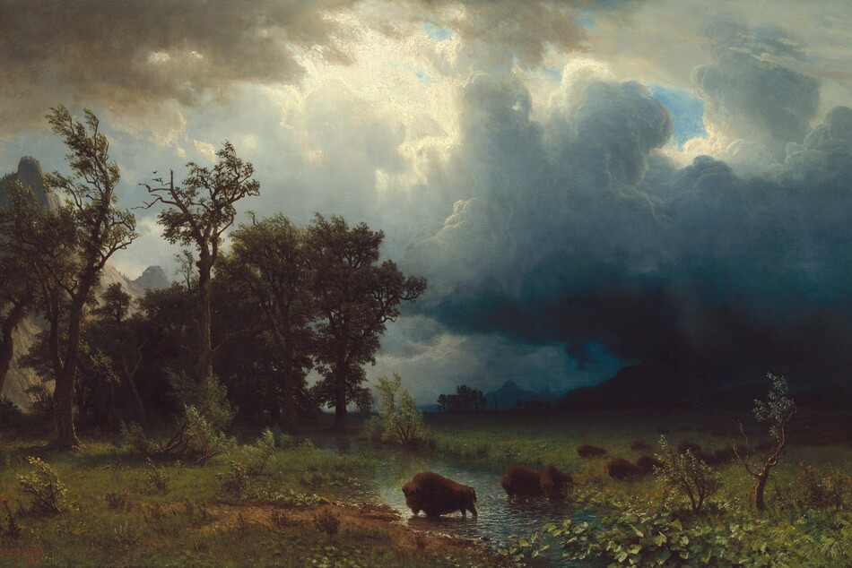 Portraits of Trees, a Favorite Subject of Artists | National Gallery of Art