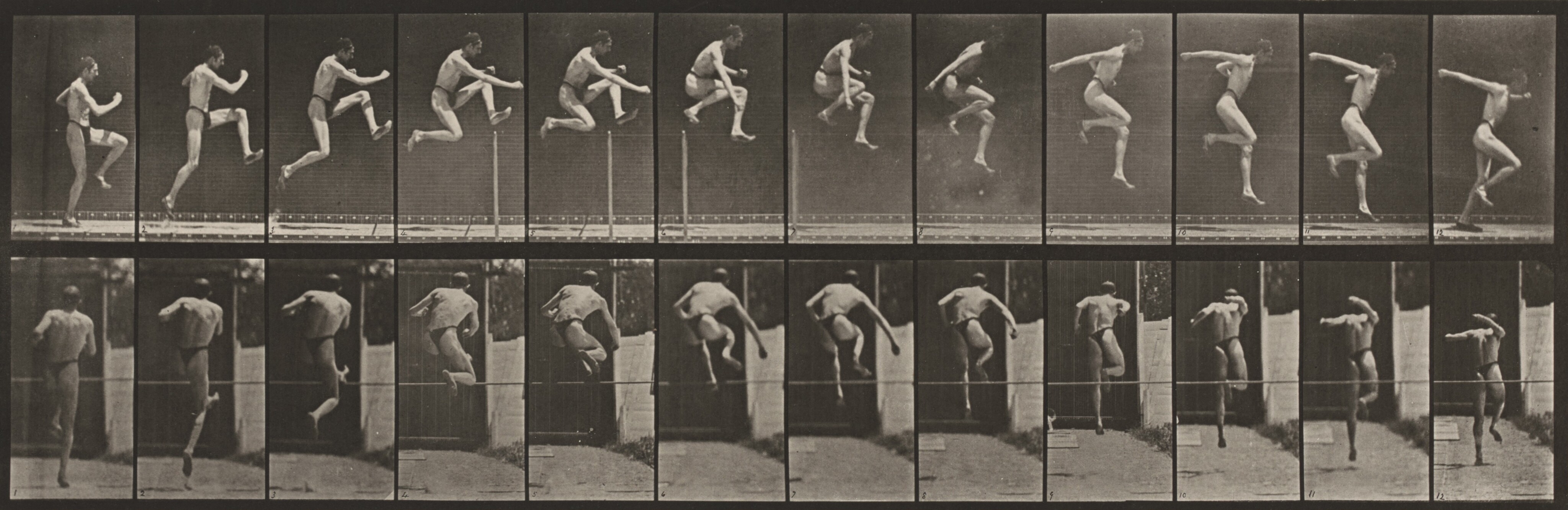 Plate Number 153. Jumping, running straight high jump by Eadweard Muybridge