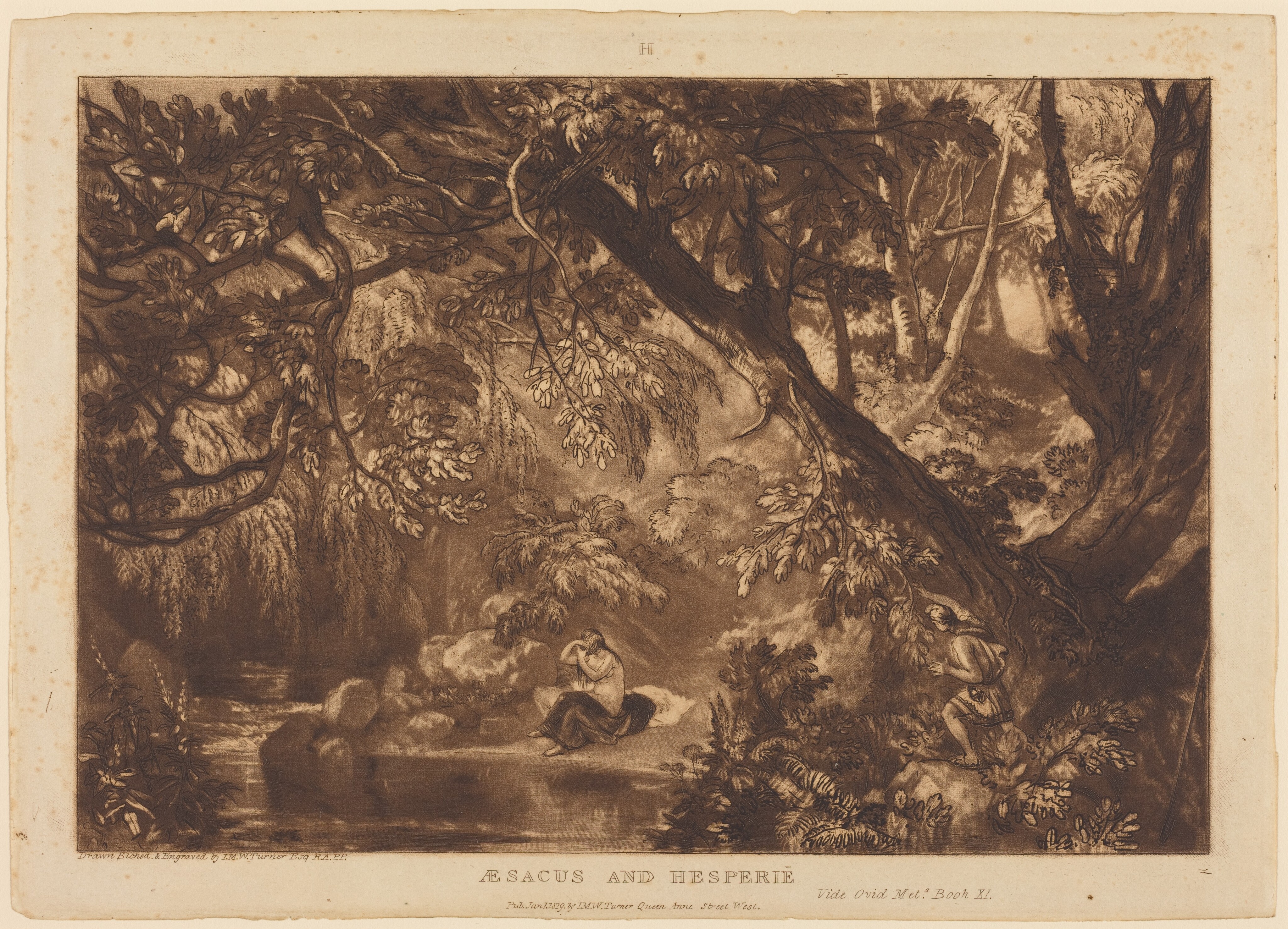 Aesacus and Hesperie by Joseph Mallord William Turner