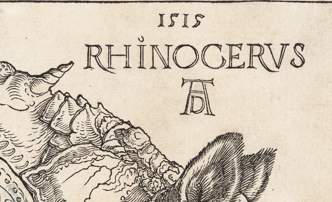 Horns, Scales, and Armor | National Gallery of Art