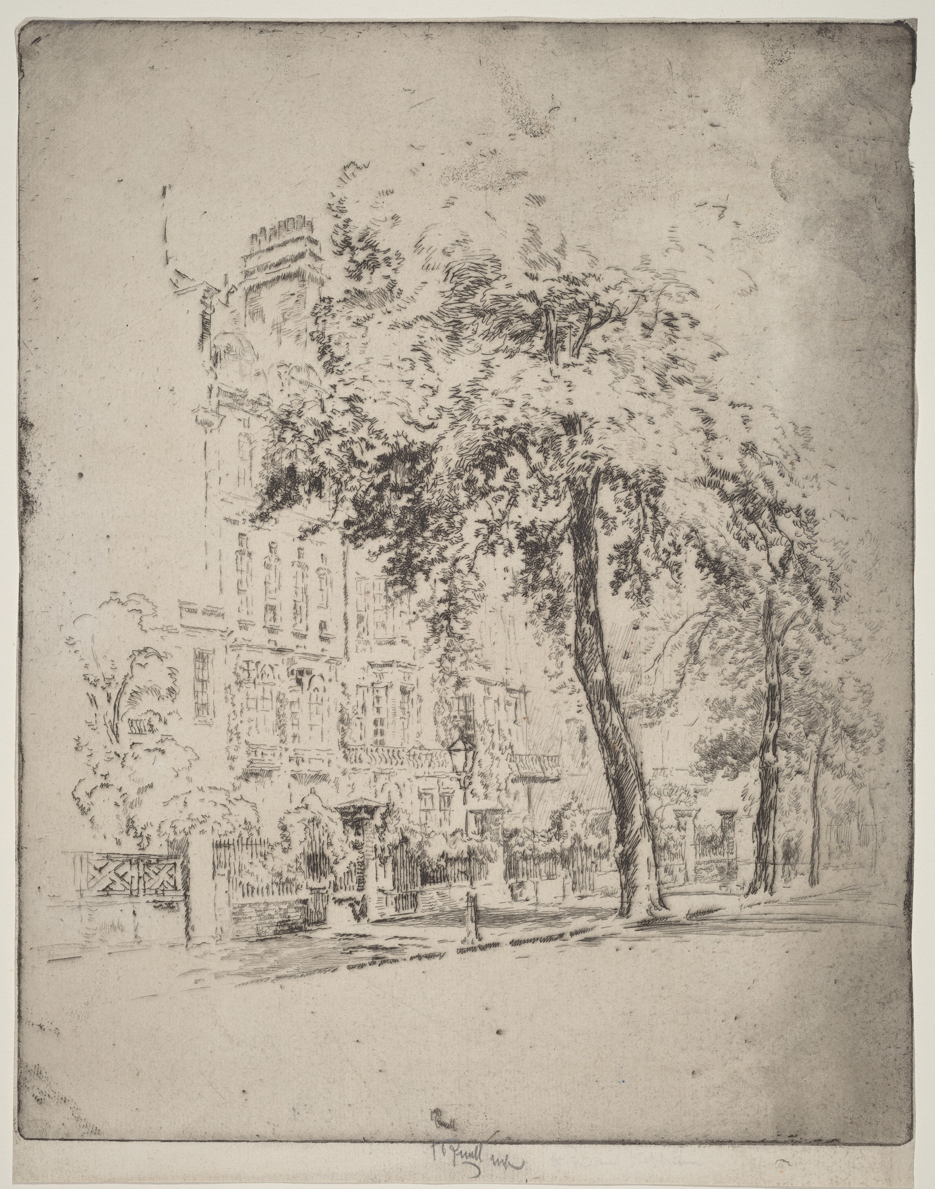 Big Tree, Cheyne Walk by Joseph Pennell