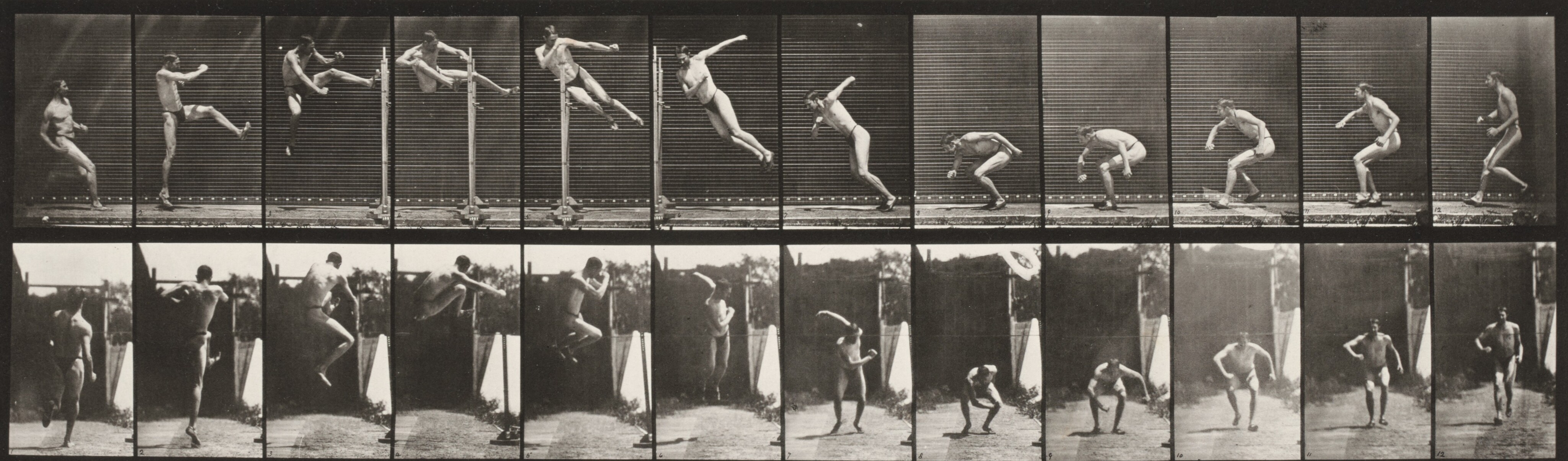 Eadweard Muybridge | National Gallery of Art